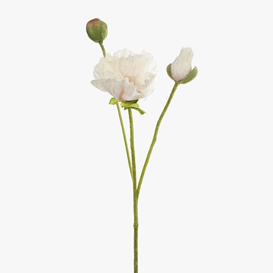 Poppy Spray – Habitat Living